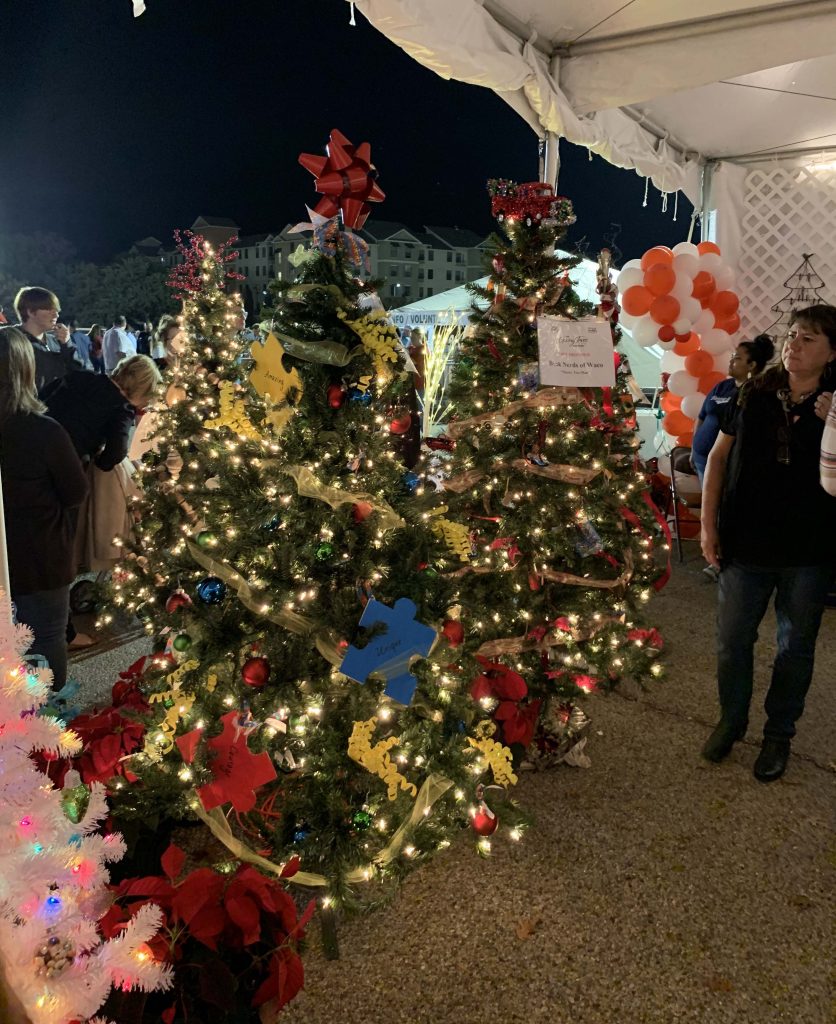 The Giving Trees Festival - Raising Wheels Foundation